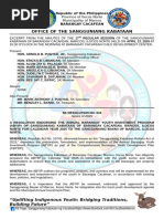 Videoke Curfew Ordinance 2024 | PDF | Local Ordinance | Government