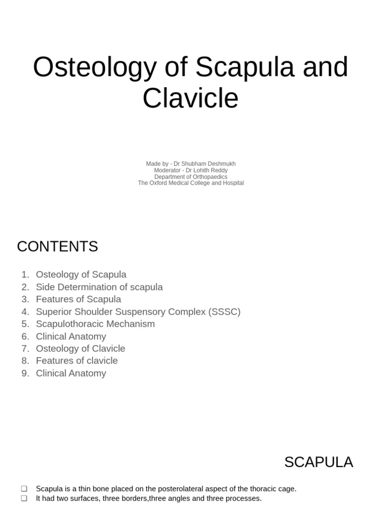 Osteology of Scapula and Clavicle | PDF | Skeletal System | Human Anatomy