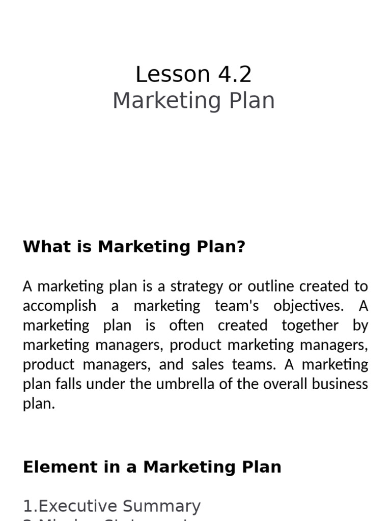 Comprehensive Marketing Plan Guide | PDF | Marketing | Marketing Strategy