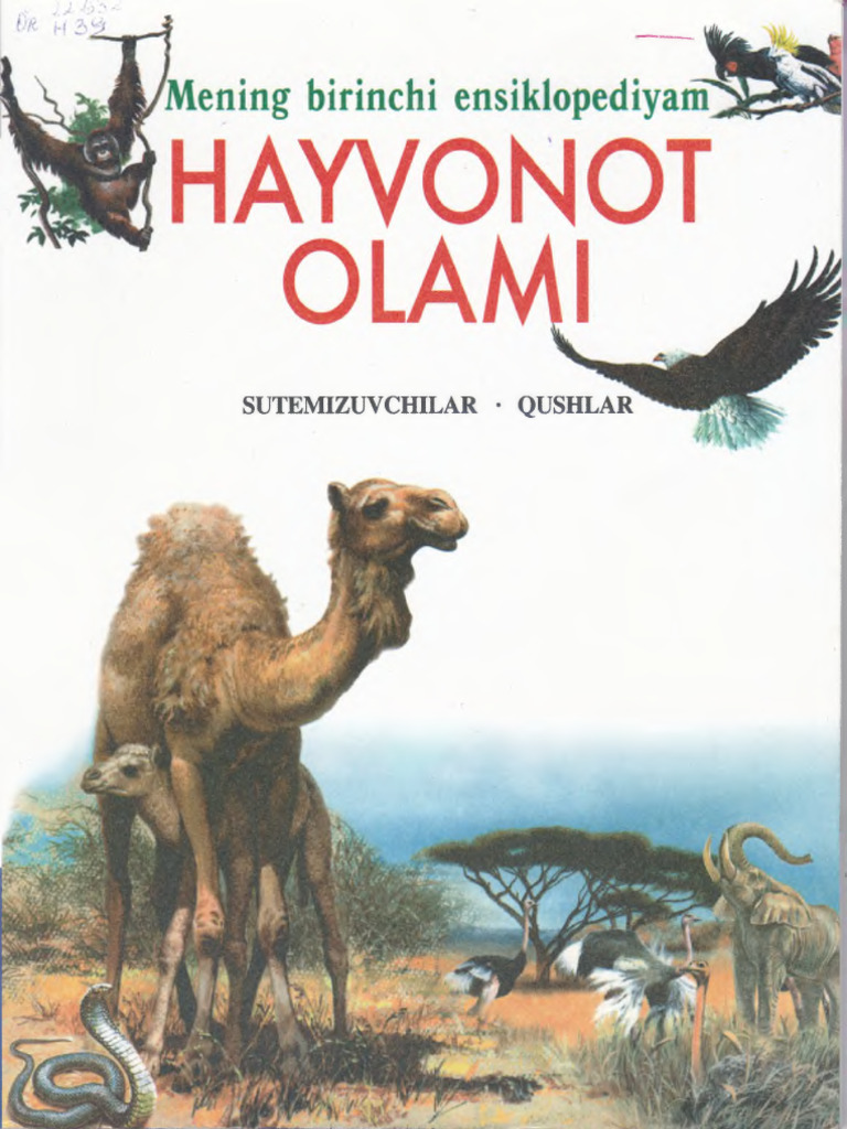 Hayvonot Olami Ensiklopediya | PDF