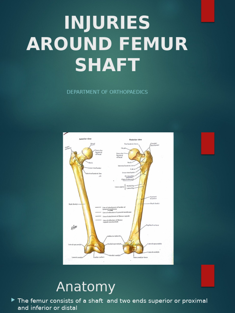 Injuries Around Shaft Femur | PDF | Lower Limb Anatomy | Limbs (Anatomy)