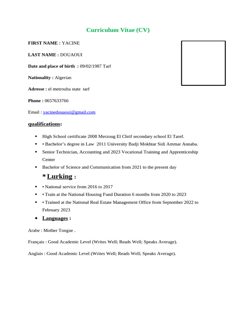 Curriculum Vitae - Copie | PDF