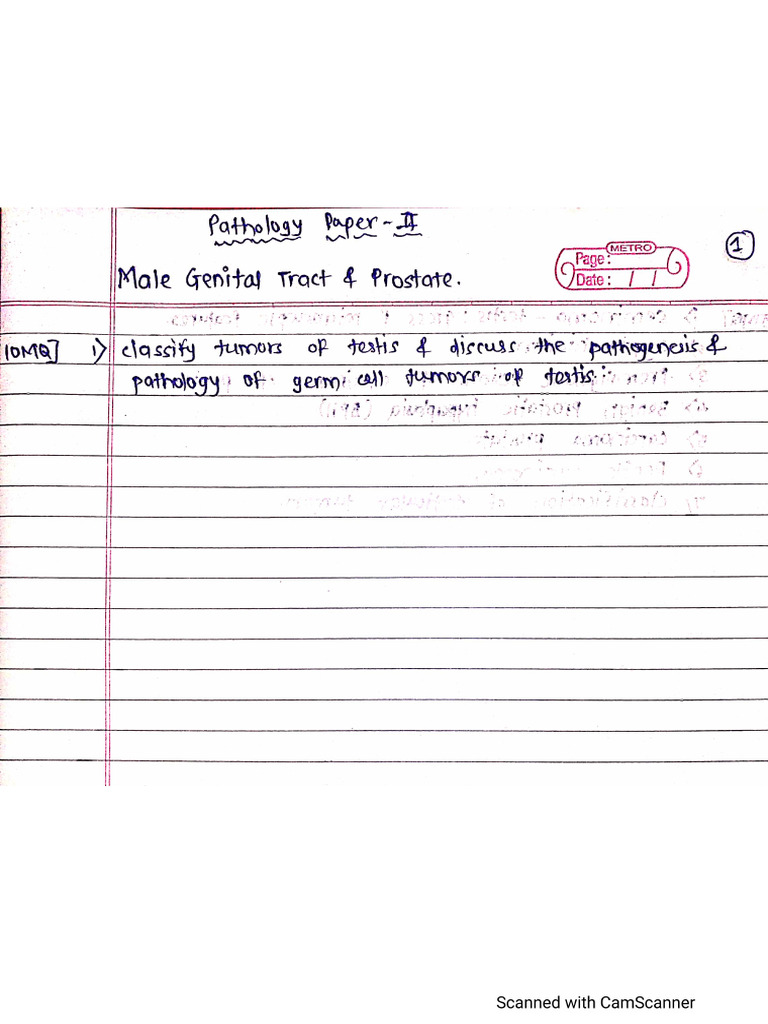 Patho Paper 2 - Male Genital Tract & Prostate | PDF