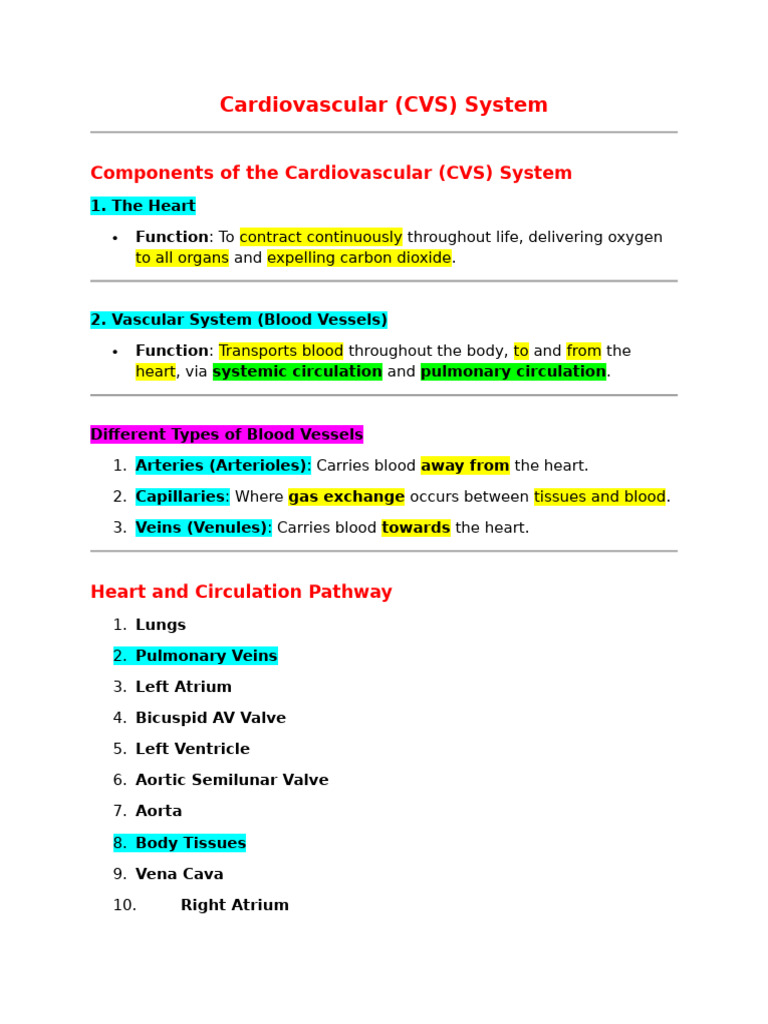 Cardiovascular System (CVS) | PDF | Circulatory System | Heart