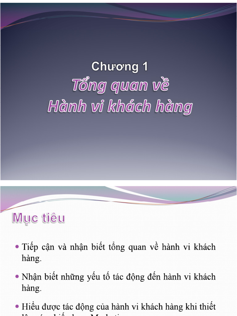 C1 Tong Quan Ve Hanh Vi KH | PDF