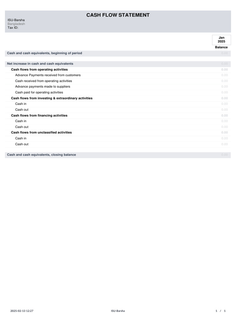 Cash Flow Statement | PDF