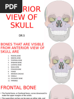 Skull Xray Views Chart | PDF