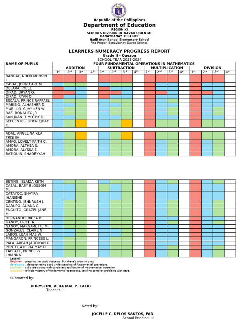 Numeracy Progress Report | PDF | Learning
