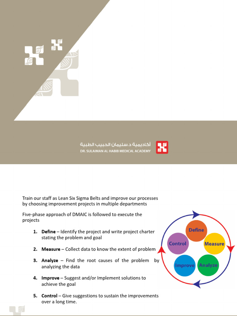 Lean Six Sigma Certification Overview | PDF | Six Sigma | Business