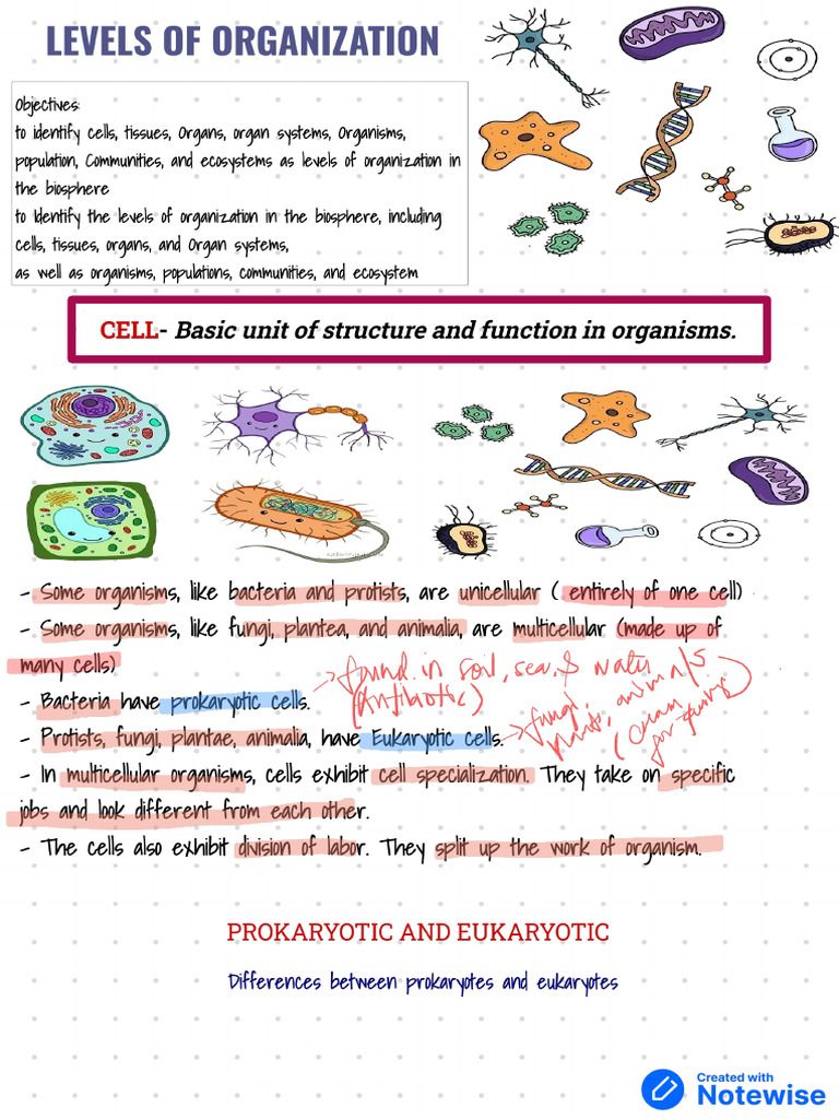 Biology Reviewer | PDF