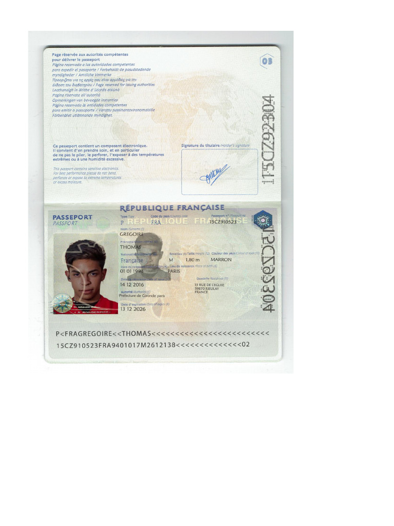 Gregoire Thomas | PDF