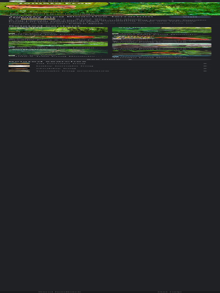 httpswww.google.comsearchq=frog+in+terrarium&rlz=1CDGOYI_enGB1023GB1023&hl=en-US&prmd=isvn ...