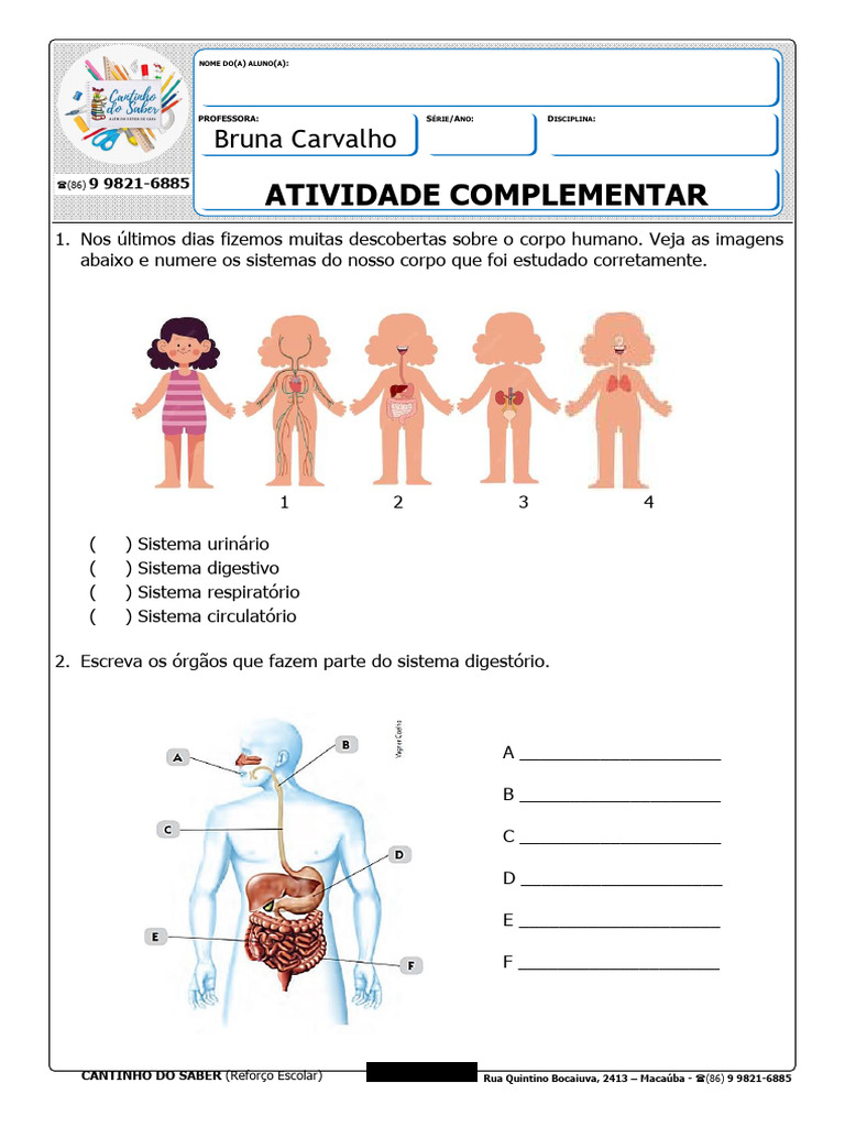 Sistemas Do Corpo Humano 5 Ano | PDF | Sistema respiratório | Corpo humano