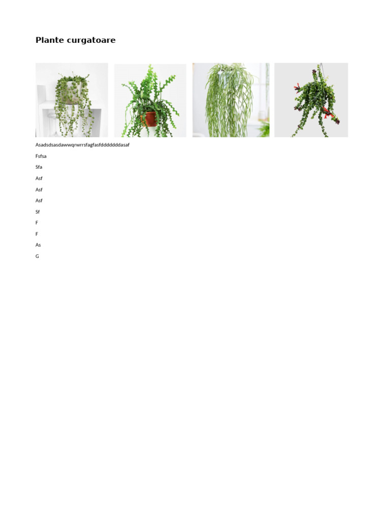 Plan Plante Curgatoare | PDF