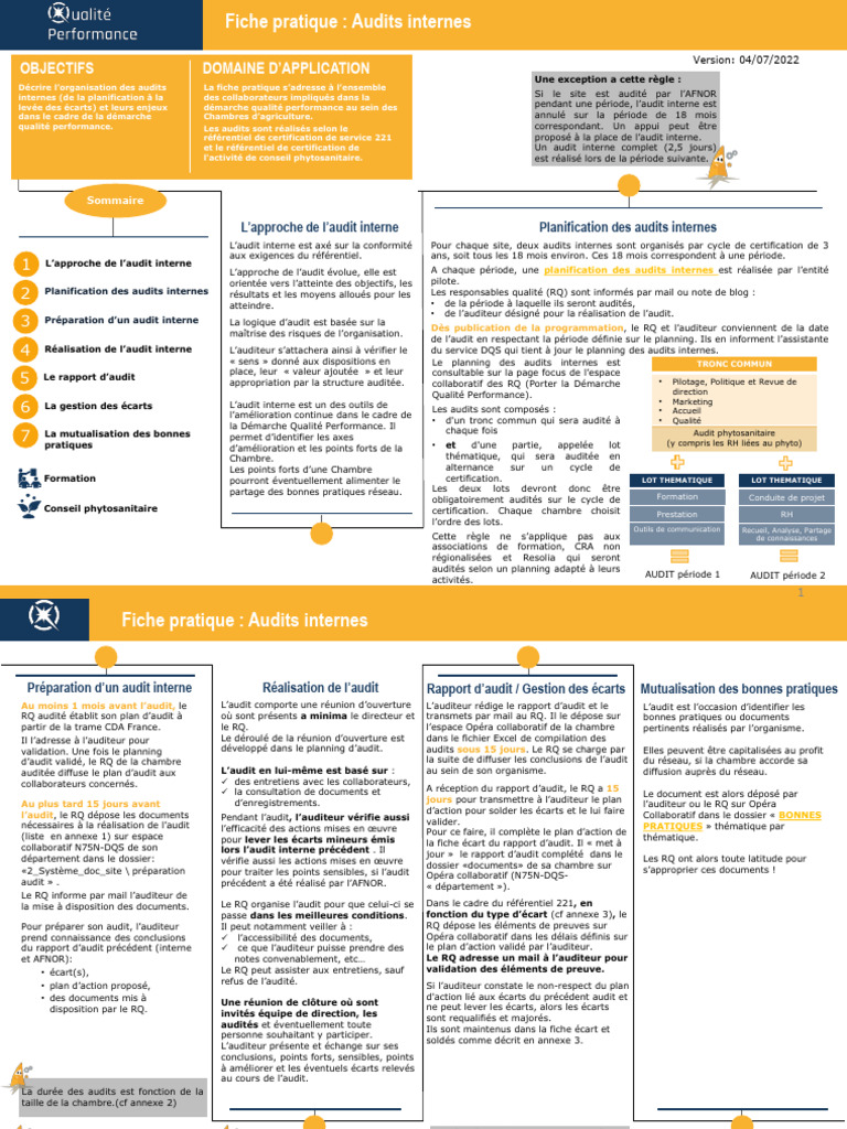 fiche pratique-Audits internes | PDF | Audit | Business