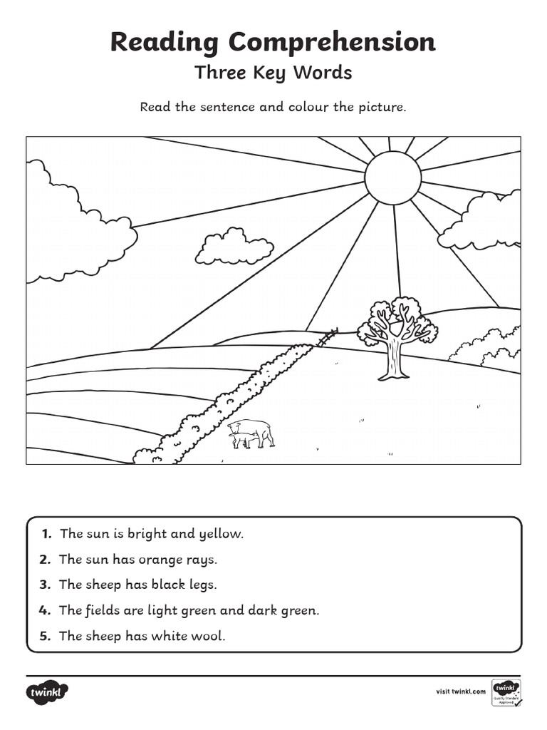 T S 4413 Reading Comprehension Ndash Three Key Words Activity Sheet | PDF