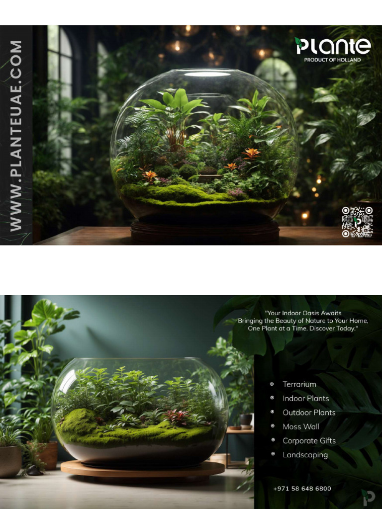 Plante profile (2) | PDF