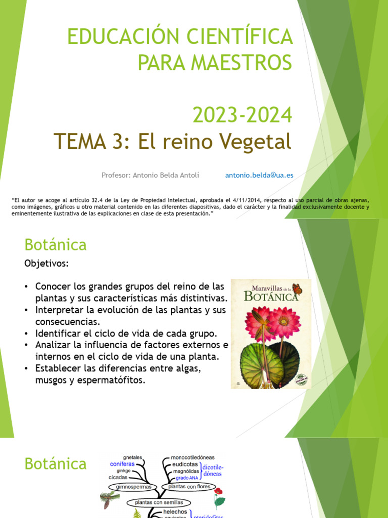 Clasificación y Funciones del Reino Vegetal | PDF | Plantas | Musgo
