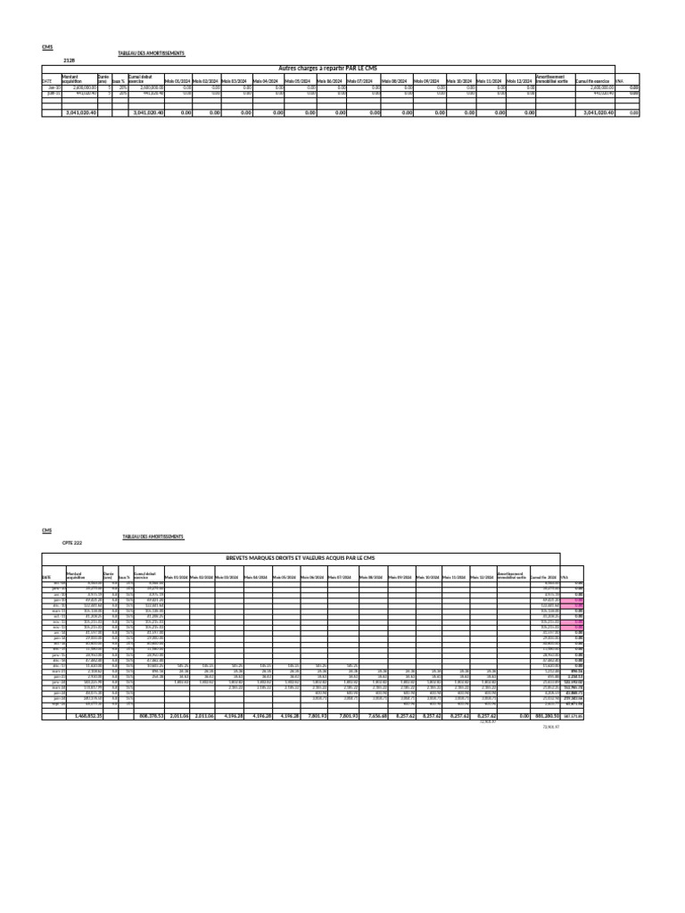 Tableau des Amortissements CMS 2024 | PDF | Dépréciation | Immobilisations