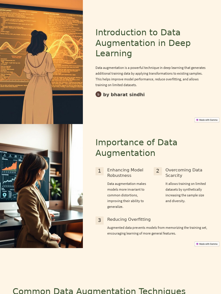 Introduction To Data Augmentation in Deep Learning | PDF | Cognitive Science | Computational ...