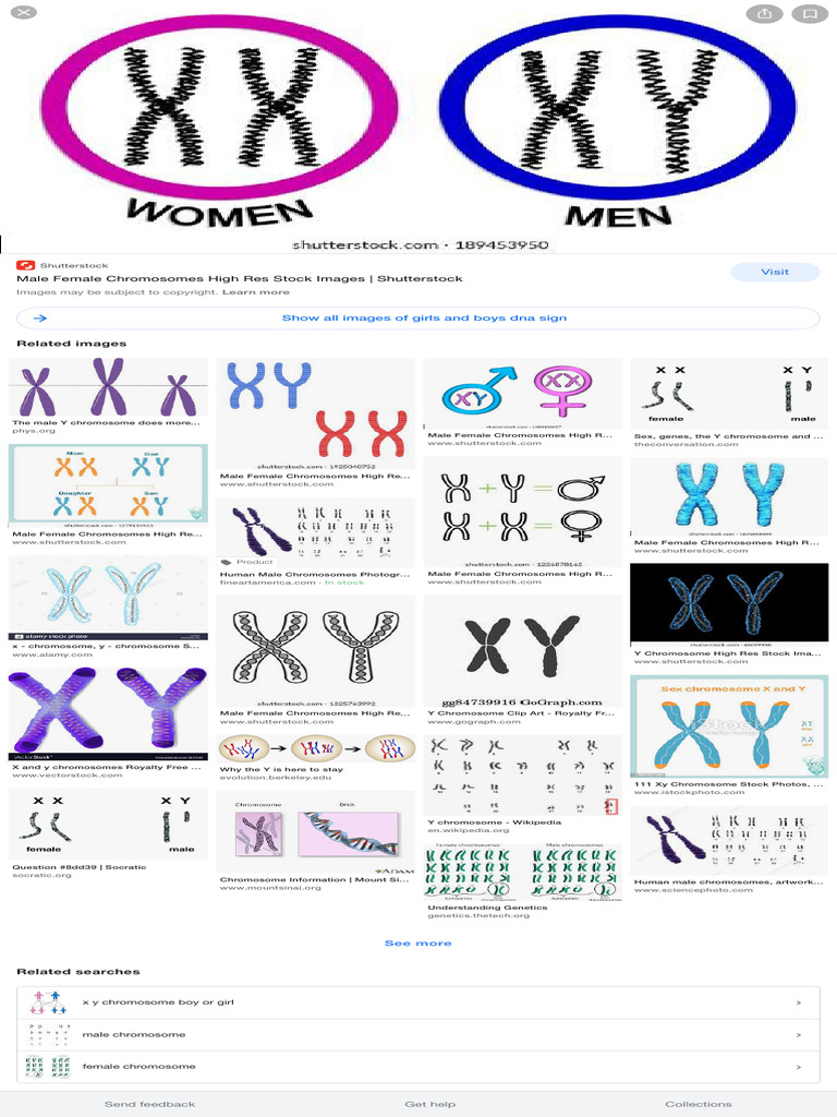 Searchq Girls+and+boys+dna+sign&rlz 1C9BKJA enBD924BD924&oq Girls+and ...