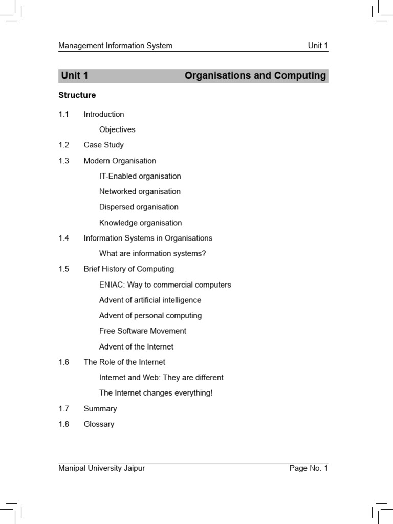 Understanding Information Systems in Organizations | PDF | World Wide Web | Internet & Web