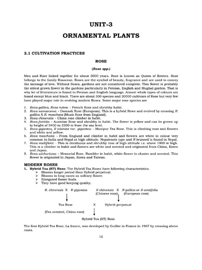 Cultivation Practices | PDF