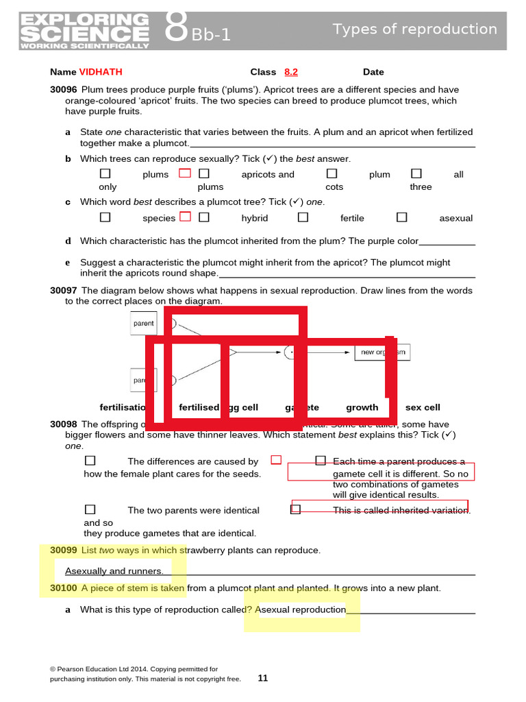 8bb1 Reproduction Types HW Science | PDF | Reproduction | Plants