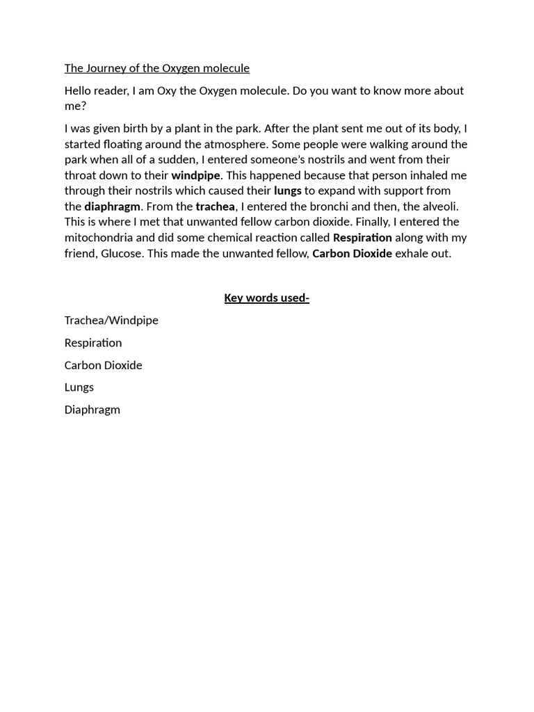 Oxygen Molecule's Journey Explained | PDF