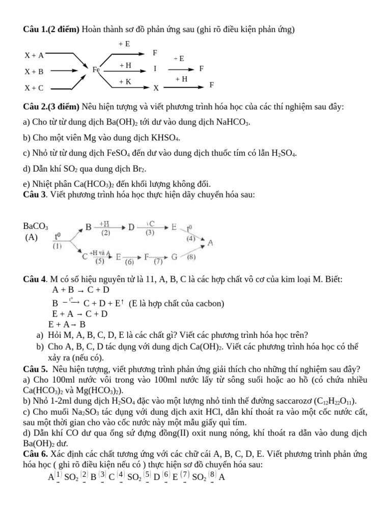 Sơ Đ Pư Ôn HSG | PDF