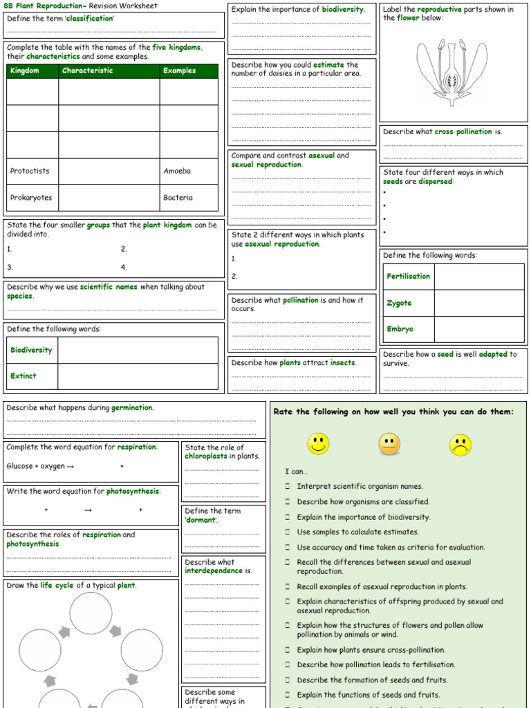 Year 8 Plant Reproduction Revision Worksheet | PDF | Reproduction | Seed