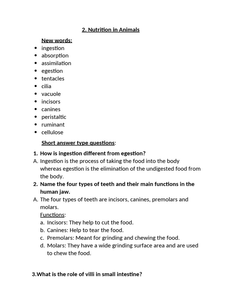 Grade 7 Nutrition in Animals (20-21) Notes | PDF | Digestion | Ruminant