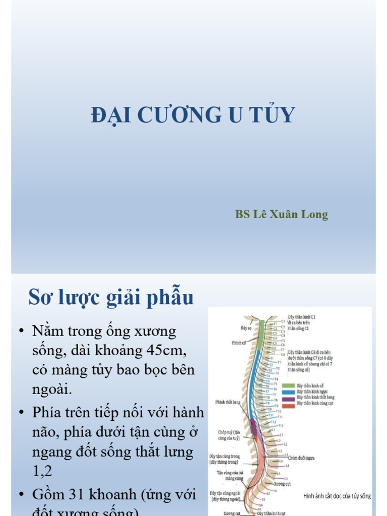 %C4%90A%CC%A3I%20CU%CC%9BO%CC%9BNG%20U%20TU%CC%89Y%20Y4%20NTT%202024 ...