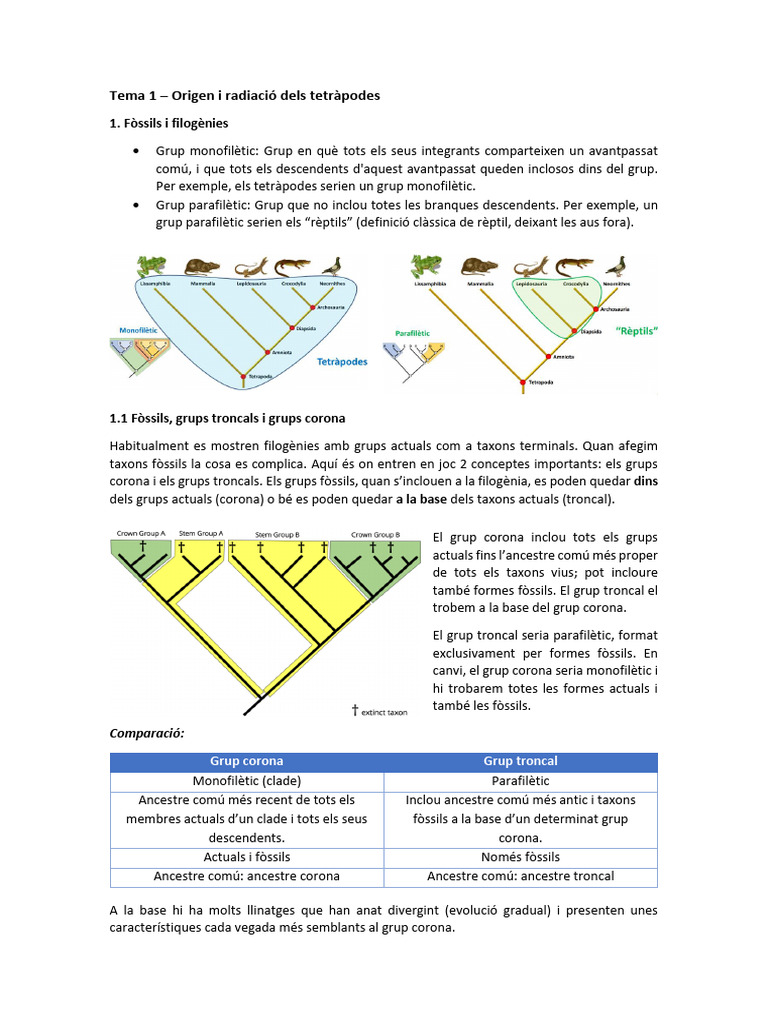 Vertebrats - Origen I Radiació Dels Tetràpodes | PDF