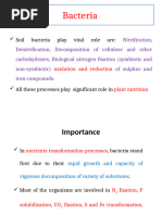 Life Science Grade 11 Term 1 Notes | PDF | Fungus | Algae