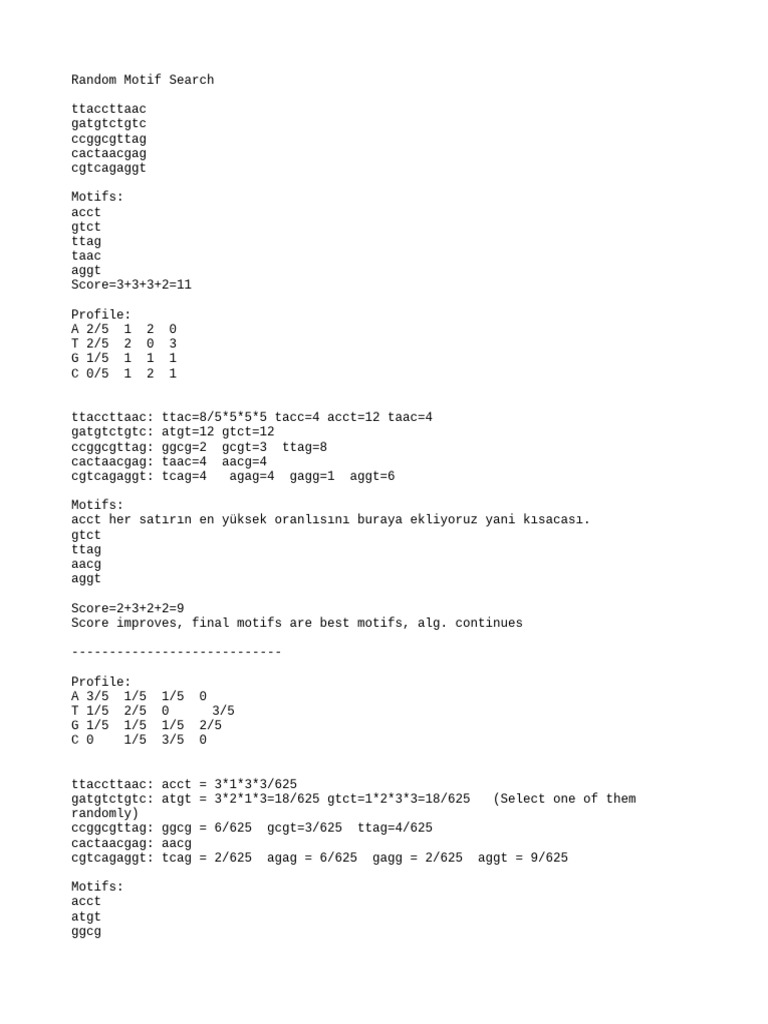 Random Motif Search Example | PDF