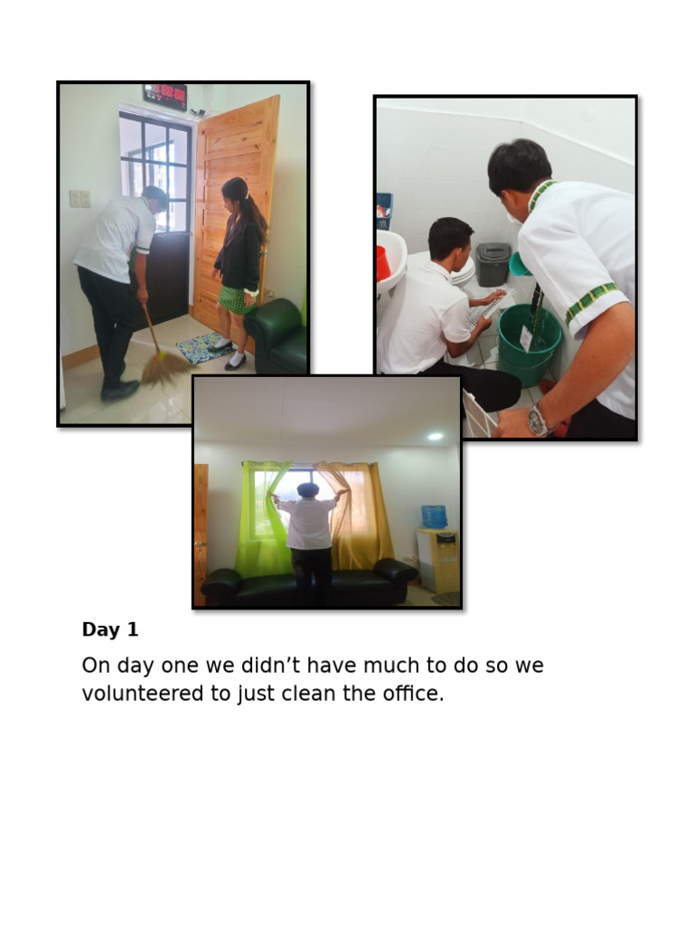 Work Immersion Diary: Daily Activities | PDF