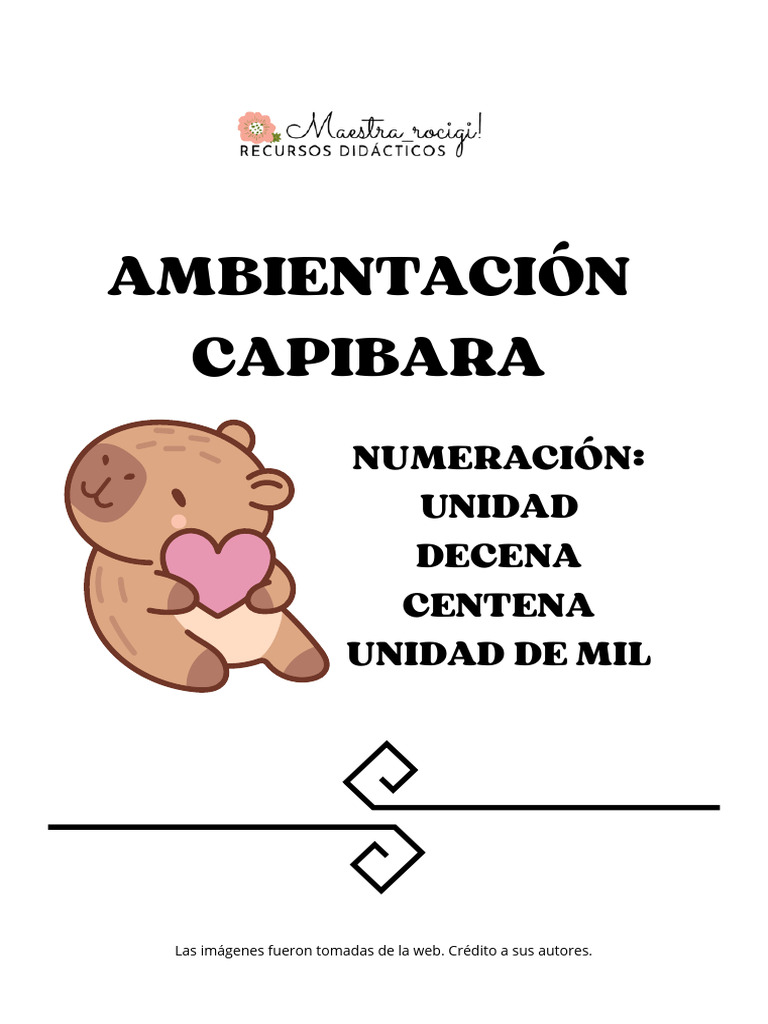 Matematica Capibara | PDF