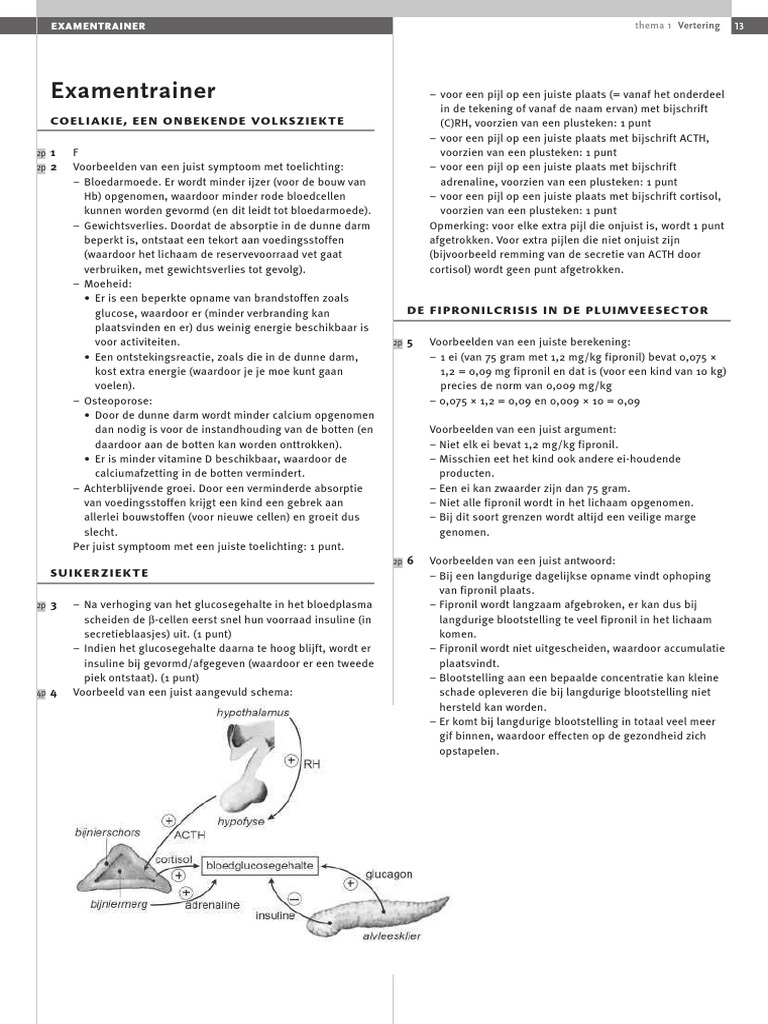 BVJ 6v Uwb T1 Ex TR | PDF