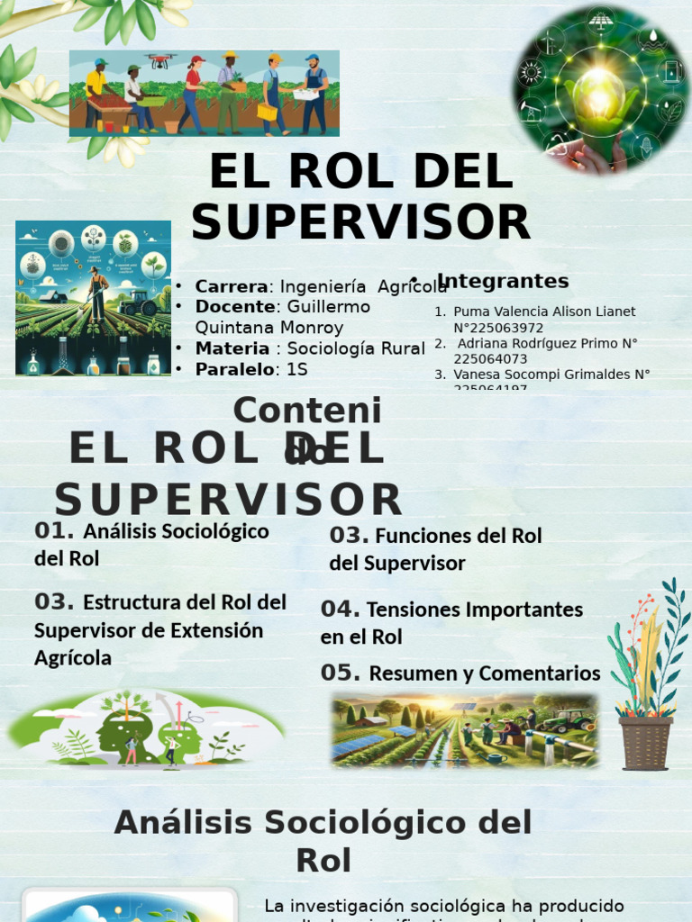 El Rol Del Supervisor | PDF | Planificación | Ciencias del comportamiento