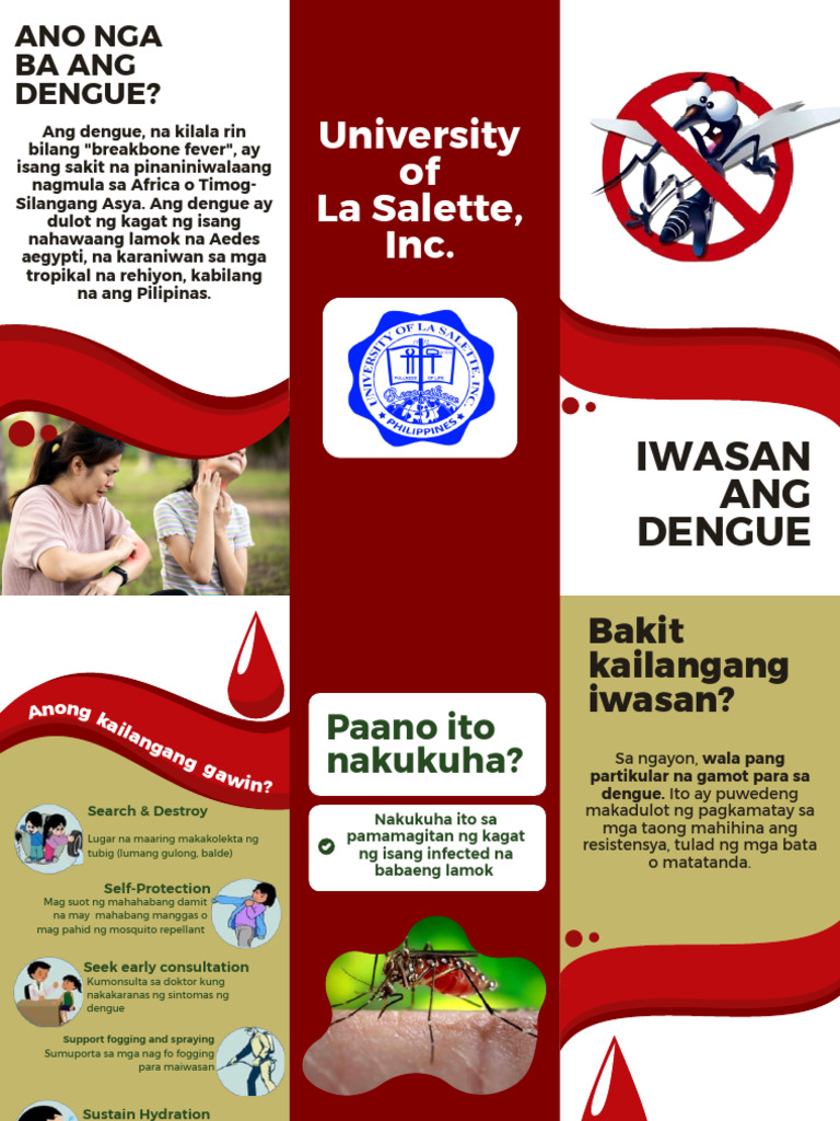 Dengue Brochure | PDF