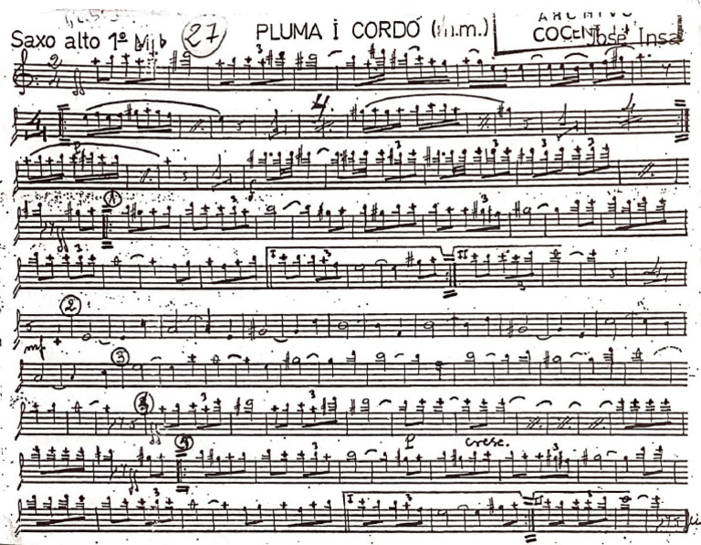 Pluma I Cordó | PDF