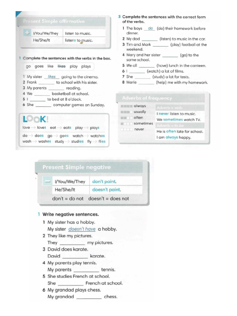 Present Simple Revision | PDF