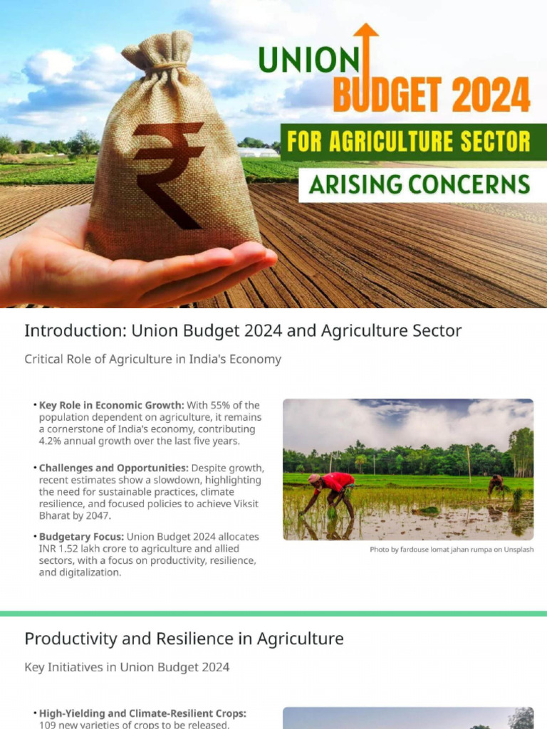 Union Budget PPT 1 | PDF