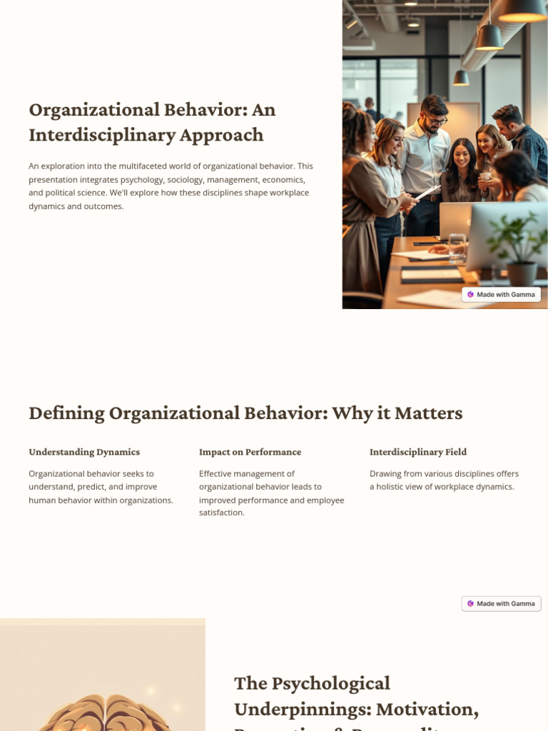 Organizational Behavior An Interdisciplinary Approach | PDF ...