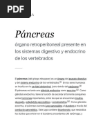 Anatomía del Conducto Pancreático | PDF | Páncreas | Digestión