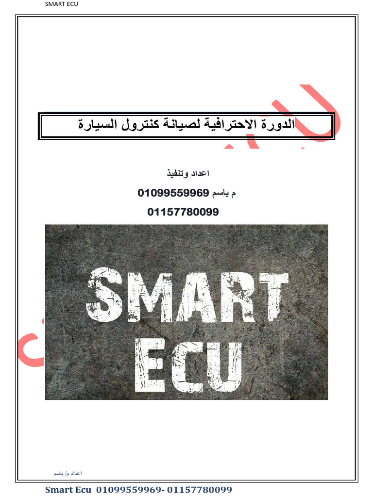 Smart Ecu Book | PDF