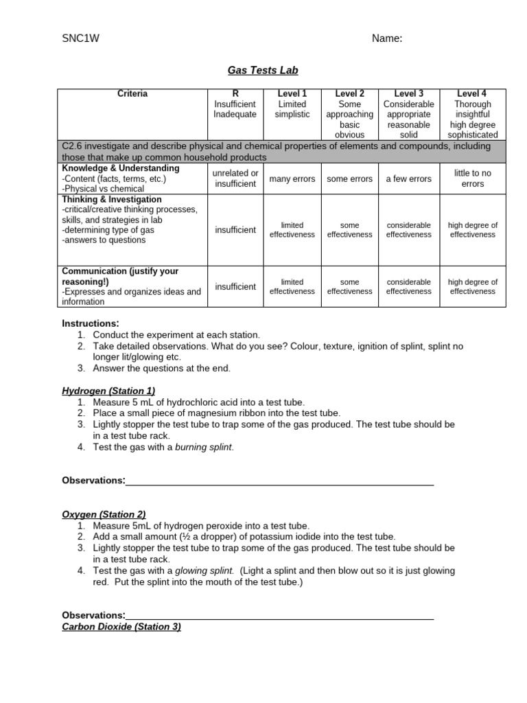 SNC1W Gas Test Lab 2024 - 25 | PDF | Gases | Combustion