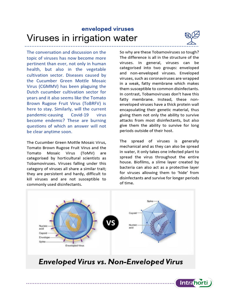 Intra Hydropure - Study - Viruses-in-Irrigation-Water | PDF | Virus ...
