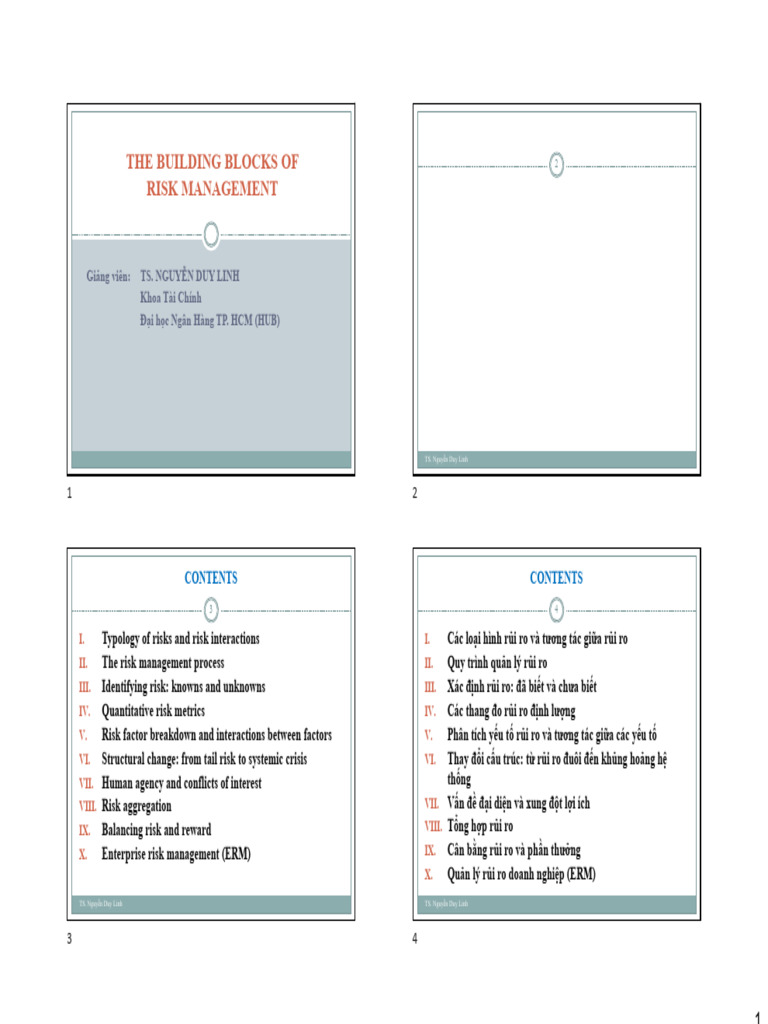 01-The Building Blocks of Risk Management | PDF